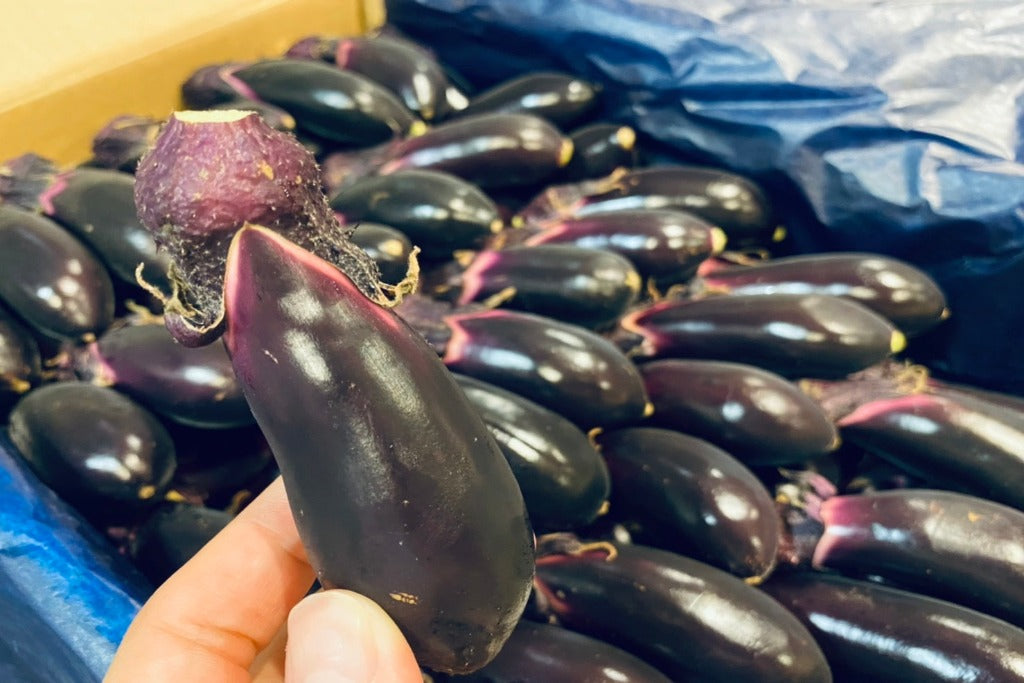 〈夏商品〉蔵王サファイア【A等級 / 2Sサイズ / 2kg】 – 食べごち